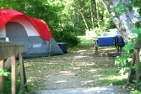Sea Ranch RV Park - Cannon Beach, OR - RV Parks - RVPoints.com