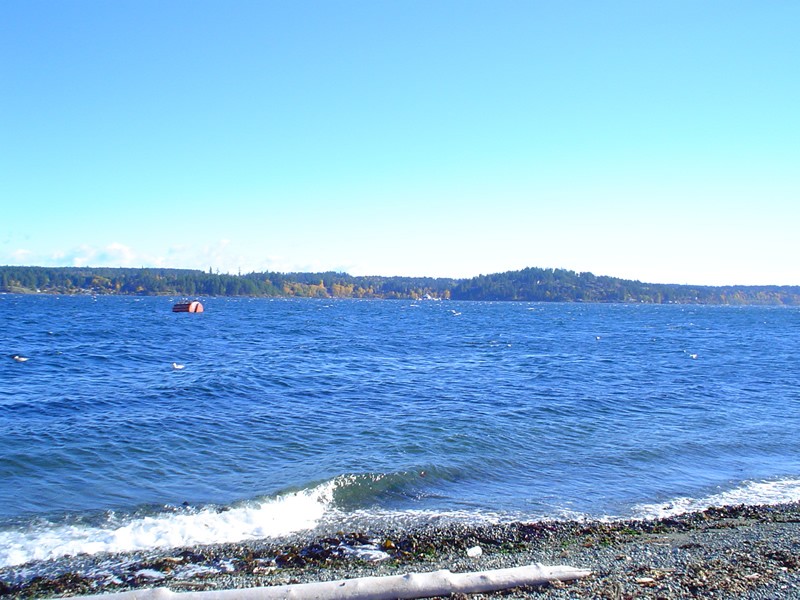 Thunderbird RV Park & Resort - Campbell River, BC - RV Parks - RVPoints.com