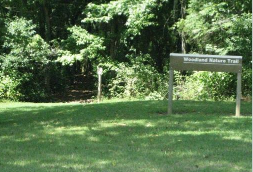 Smith Ridge Campground - Campbellsville, KY - RV Parks - RVPoints.com