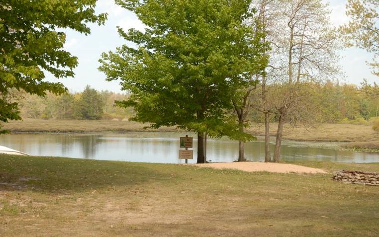 Timberlake Resort & Rv Club - Mears, MI - RV Parks - RVPoints.com