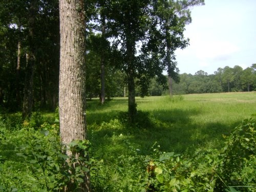 Magnolia Farms RV Resort - Foley, AL - RV Parks - RVPoints.com