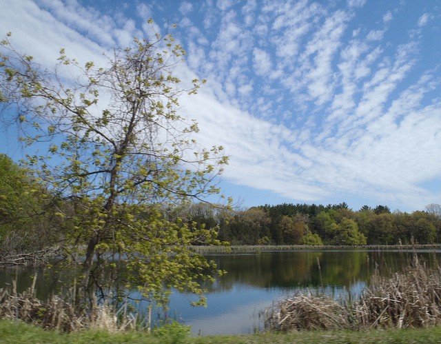 Country View Campground - Mukwonago, WI - RV Parks - RVPoints.com