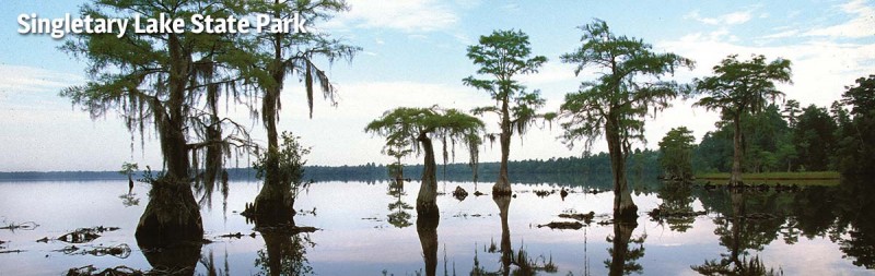 Singletary Lake State Park - Kelly, NC - North Carolina State Parks ...