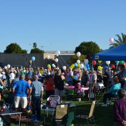 Orangewood Shadows RV Resort - Mesa, AZ - RV Parks - RVPoints.com