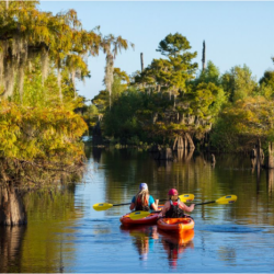 Dead Lakes Recreation Area - Wewahitchka, FL - County / City Parks ...