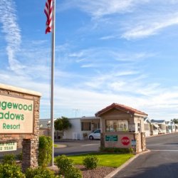 Orangewood Shadows RV Resort - Mesa, AZ - RV Parks - RVPoints.com