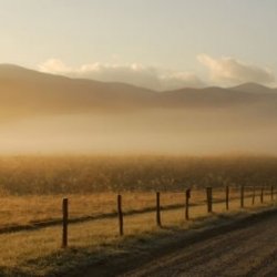 Cove Mountain RV Resort - Sevierville, TN - RV Parks - RVPoints.com